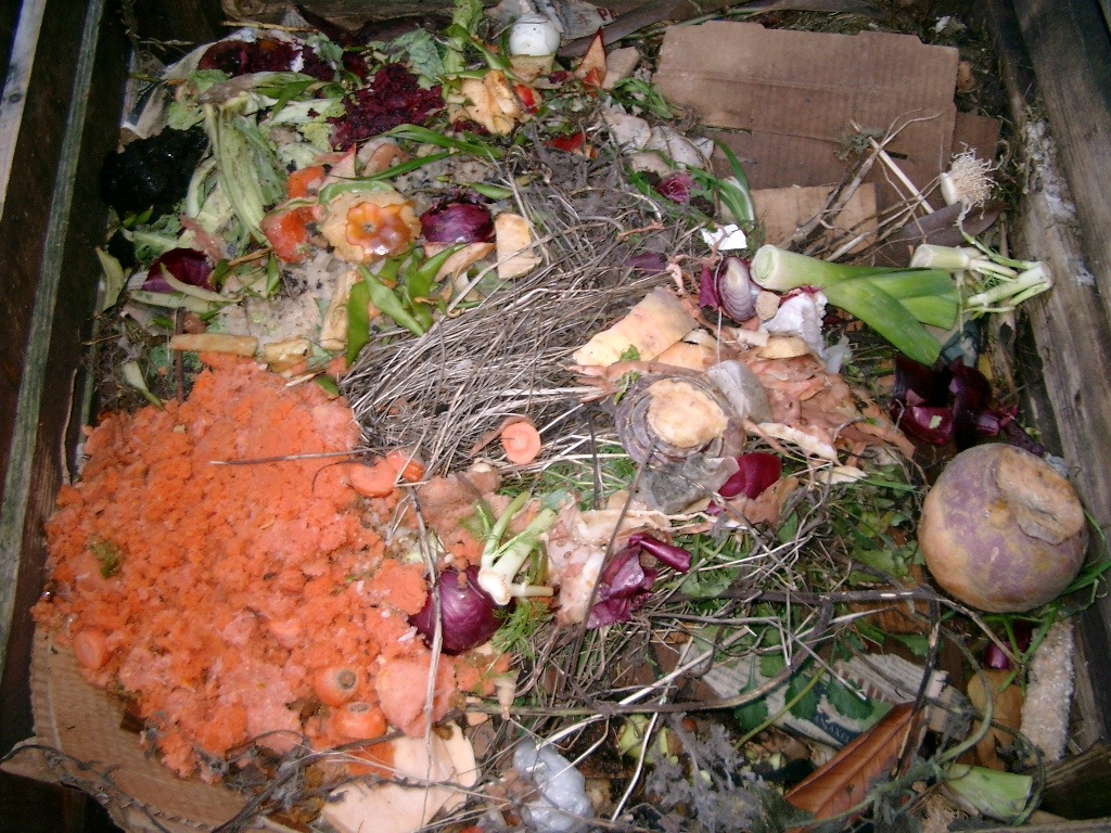 Five food problems that people in the US, Europe and China could work ...